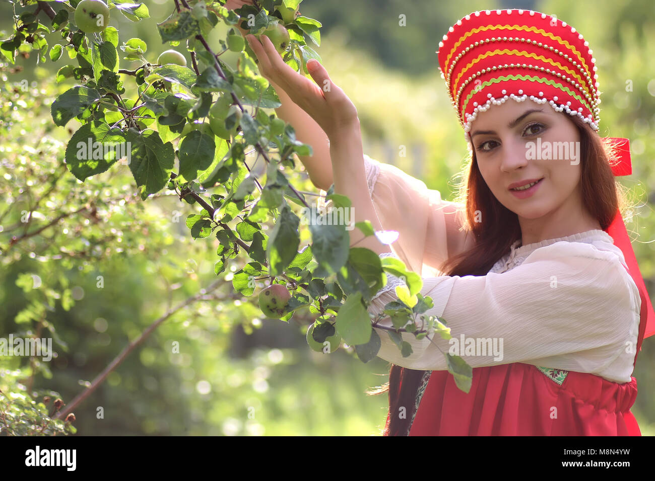 Slav in traditional dress collects the harvest of apples Stock Photo ...