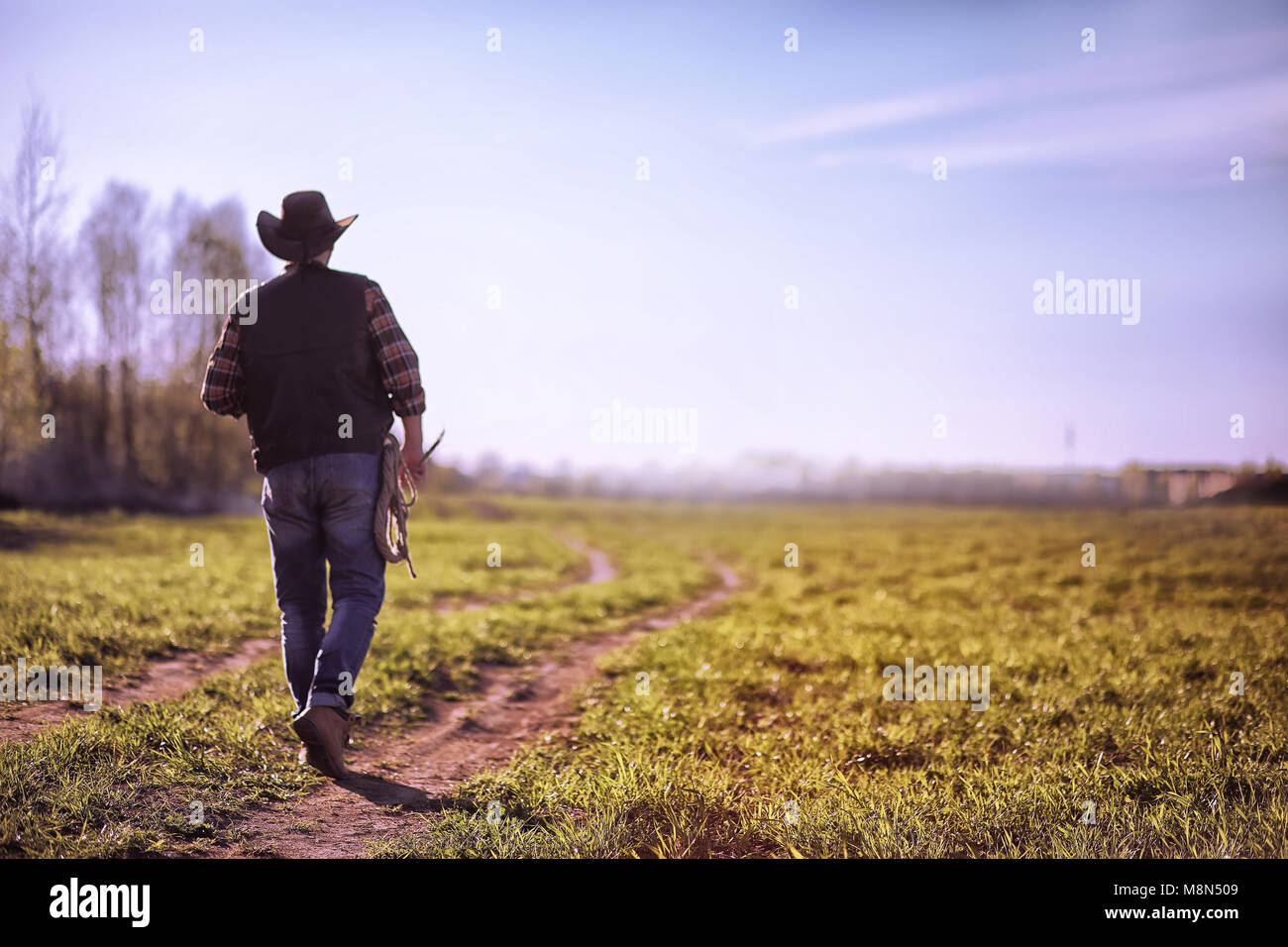 Cowboy At Work Stock Photos & Cowboy At Work Stock Images - Alamy