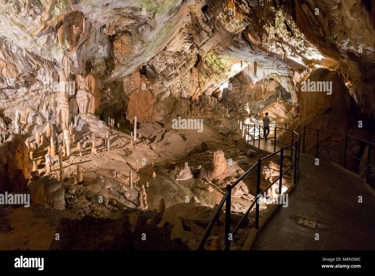 Postojna Cave, Inner Carniola, Slovenia, Europe Stock Photo - Alamy