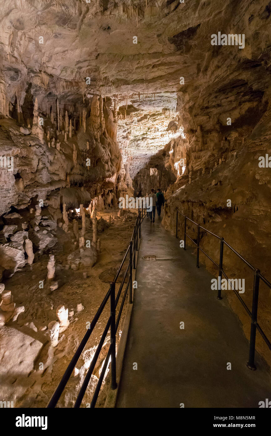 Postojna Cave, Inner Carniola, Slovenia, Europe Stock Photo - Alamy
