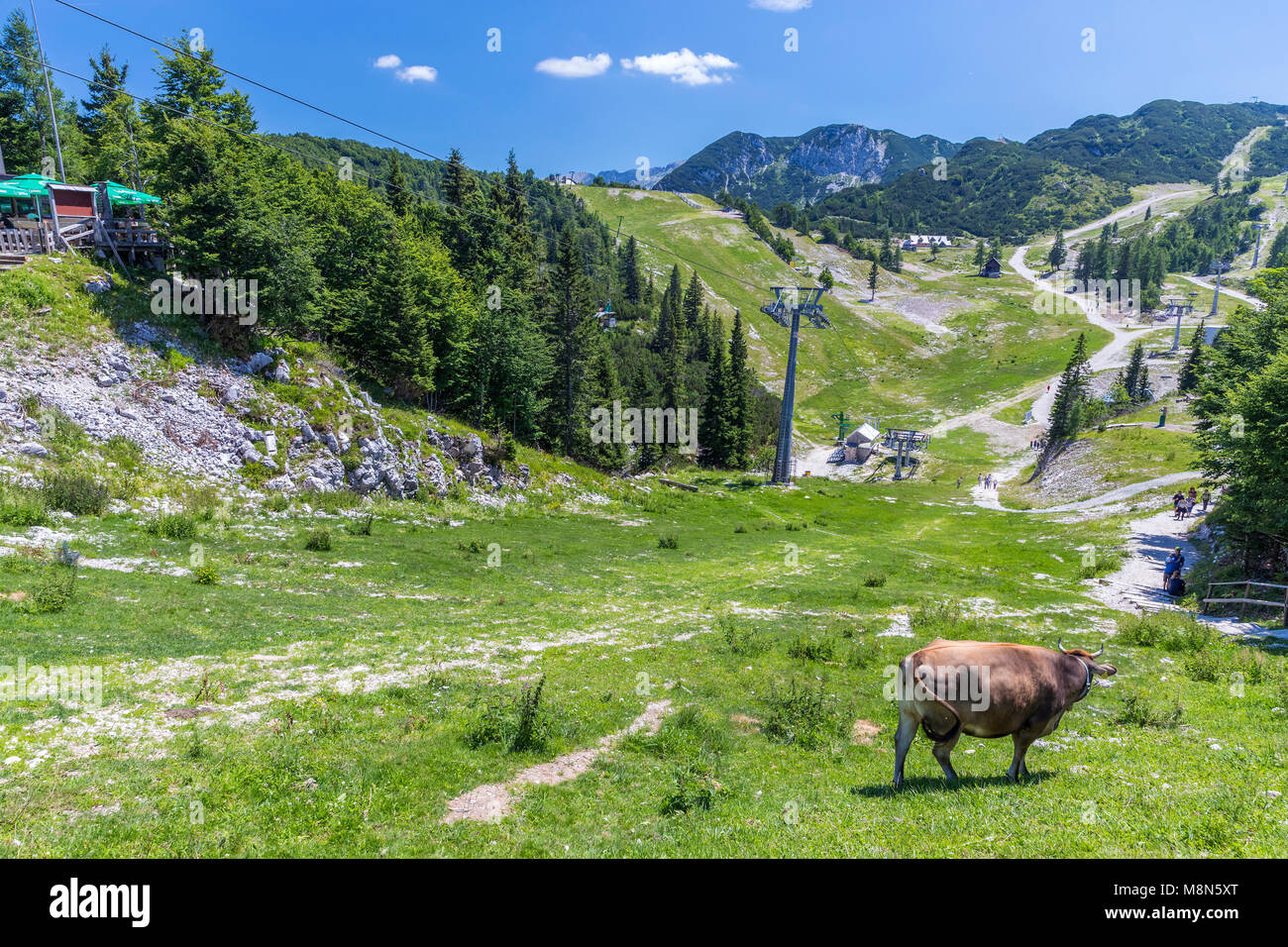 Vogel Ski Resort, Triglav National Park, Ukanc, Upper Carniola ...