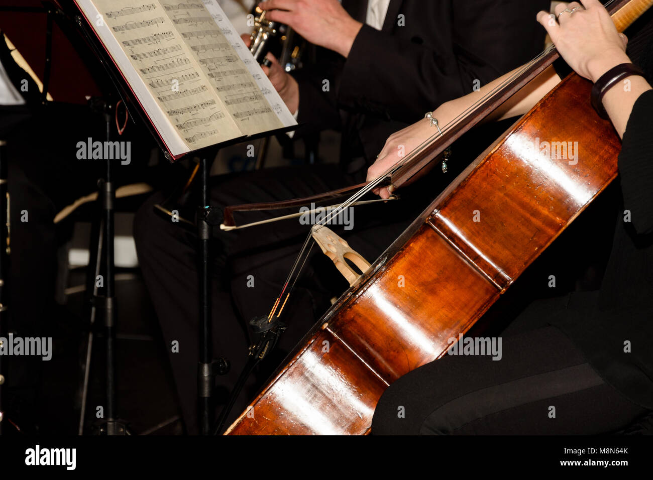 Close-up of cello musician and musical notes during concert of symphony ...
