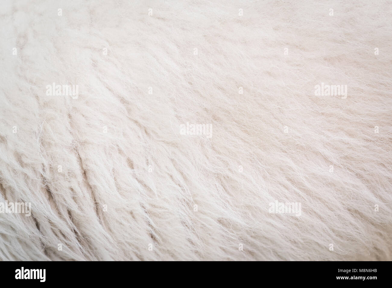 Close up wool texture and pattern background Stock Photo - Alamy