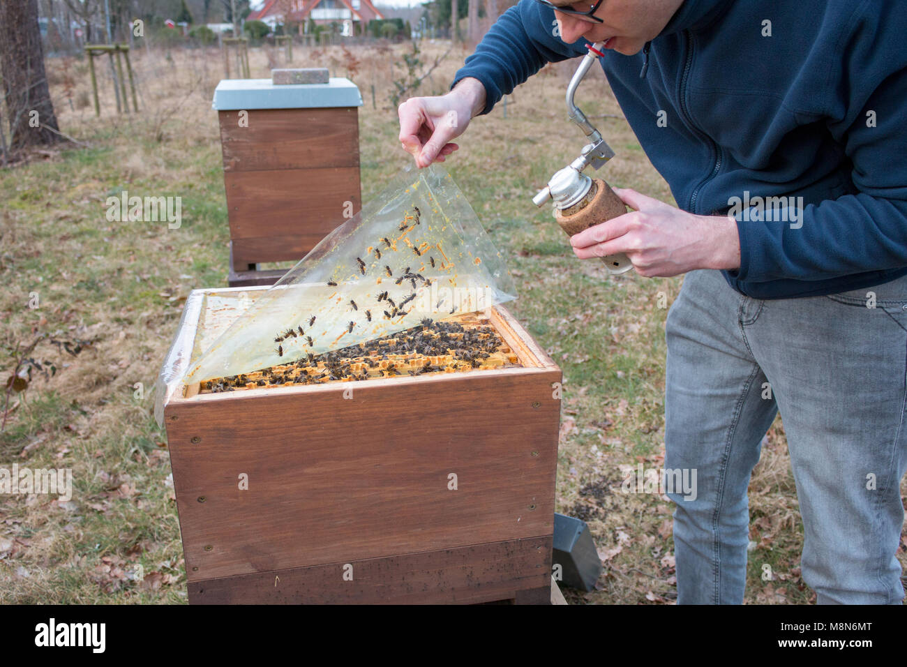Beekeeper checking beehive hi-res stock photography and images - Alamy