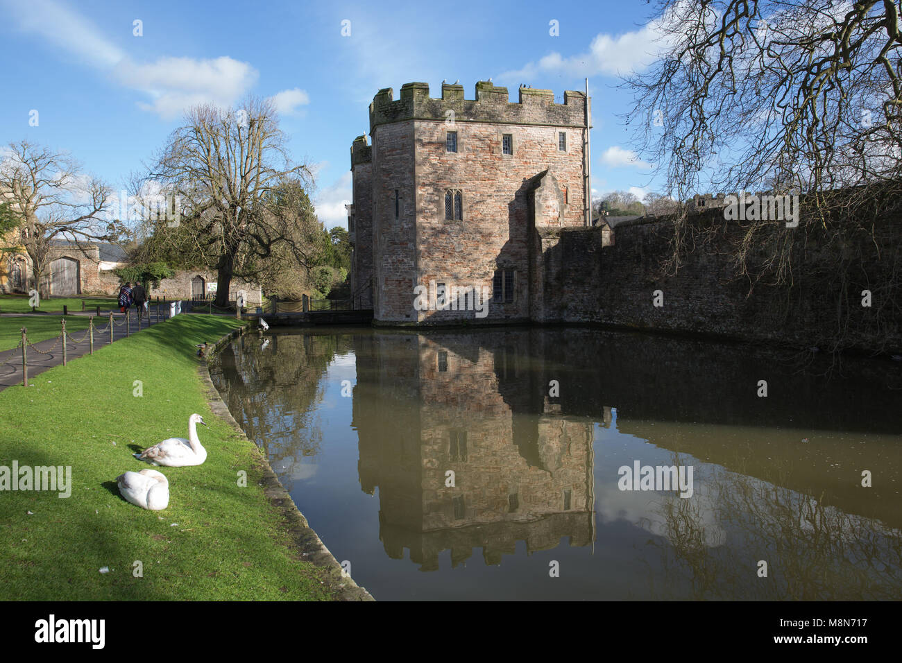 Wells Somerset uk moat around the Bishop's Palace with swans Stock ...