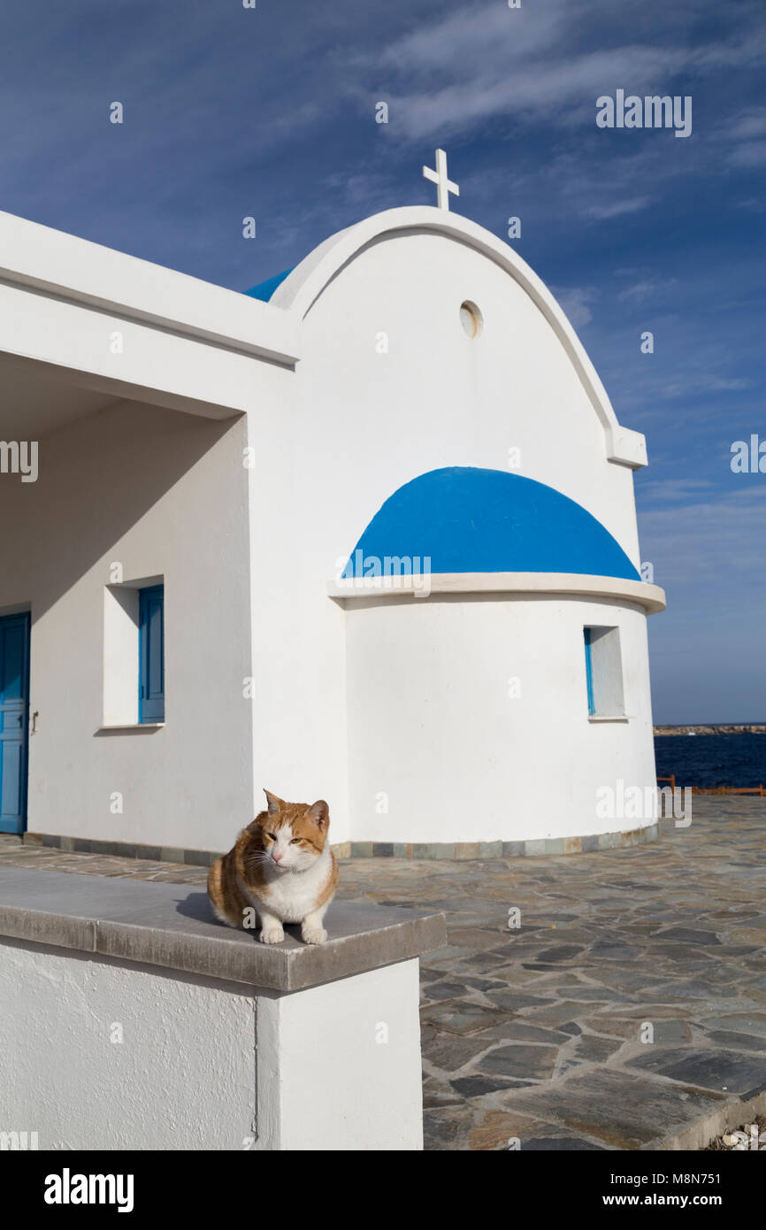 Cyprus, traditional greek orthodox church (Agioi Anargiroi) with cat ...