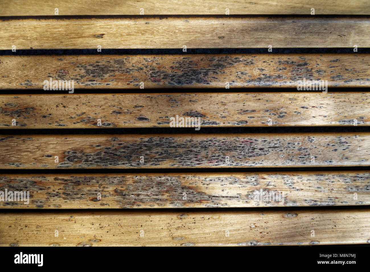 Wooden bench plank texture for web site or mobile devices Stock Photo ...