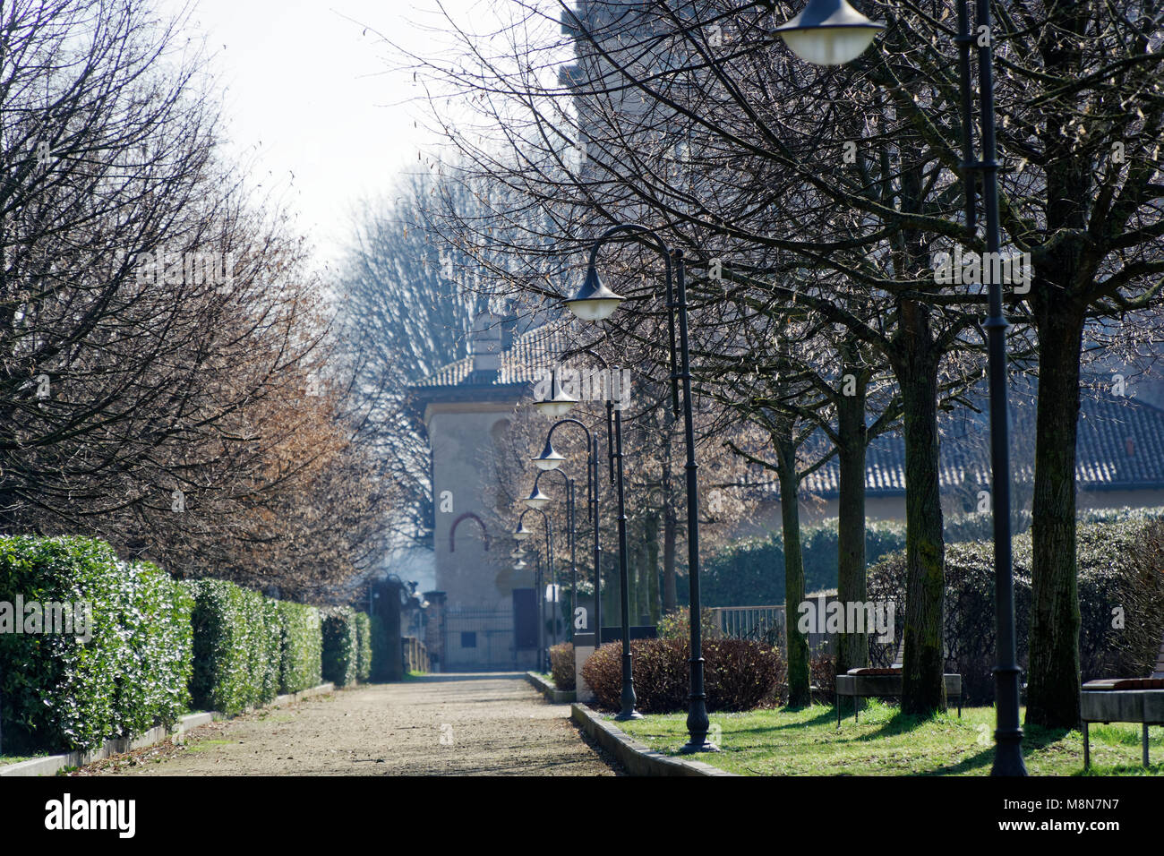 Footpath in public park, tranquility scene, idyllic background Stock ...