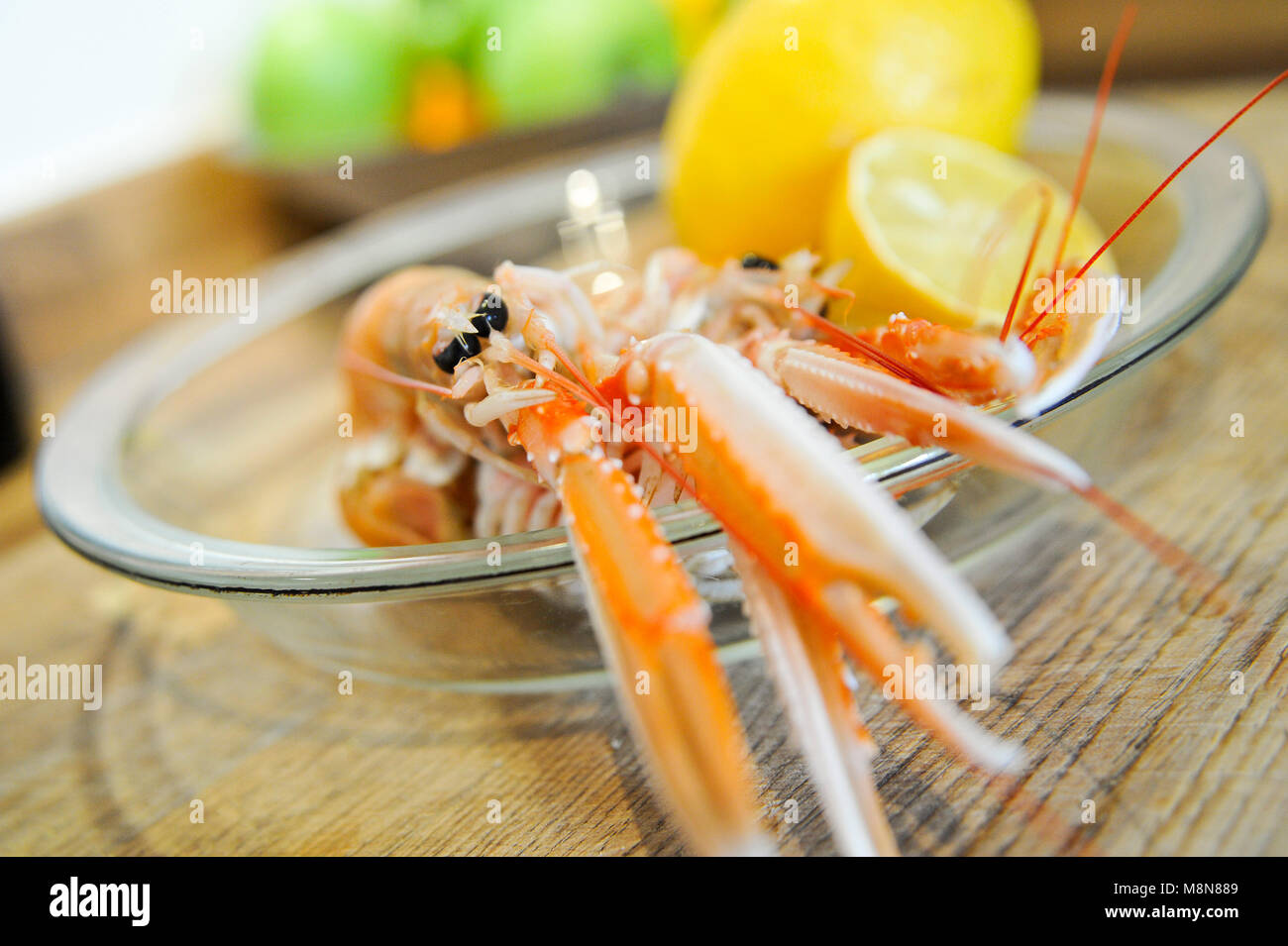 Pincer claw crustacean hi-res stock photography and images - Alamy