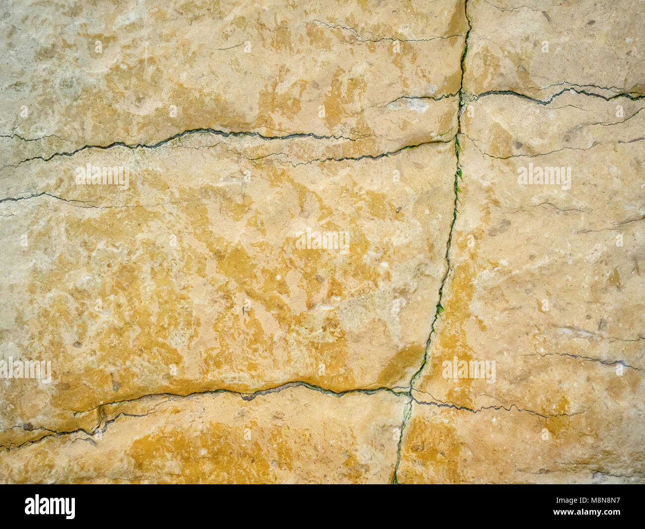 Real wet cracked rock background Stock Photo - Alamy