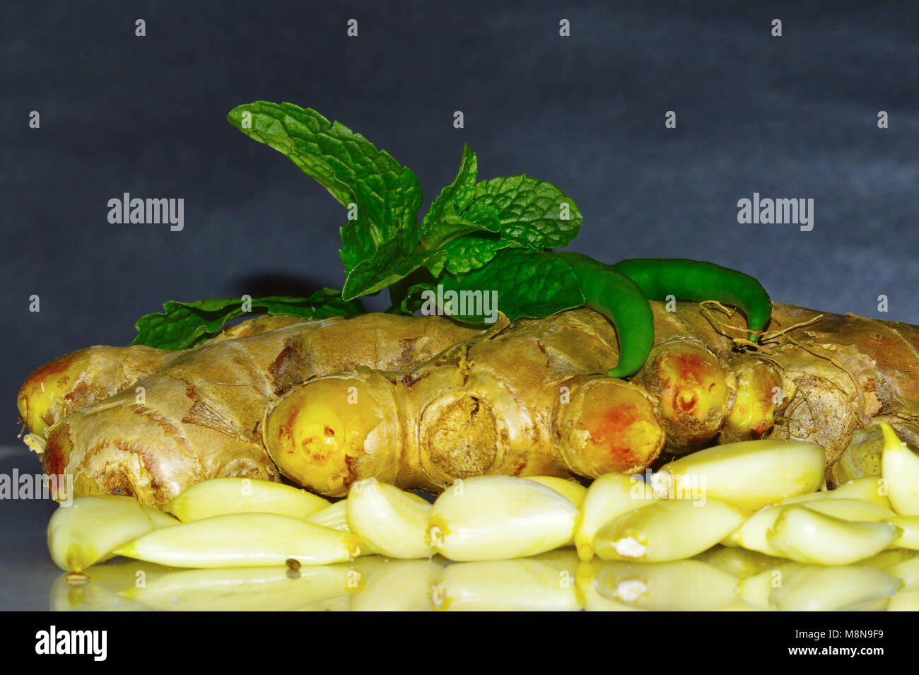 Close view of ginger, garlic with mint leaves on dark background Stock ...