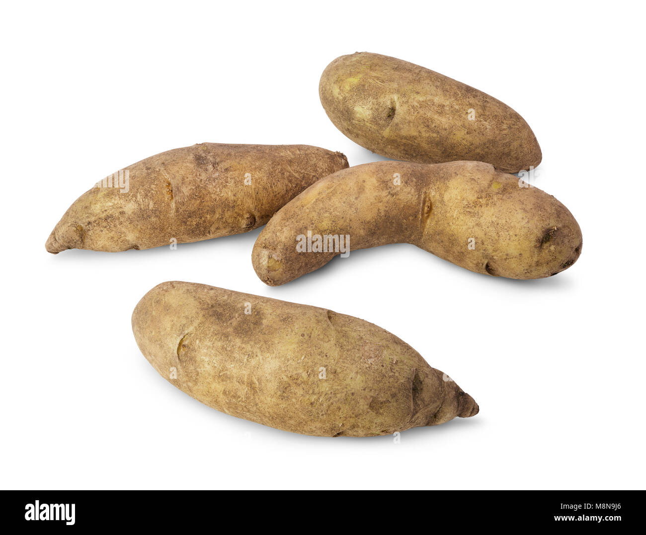 Fresh raw kipfler potatoes isolated on white background Stock Photo - Alamy