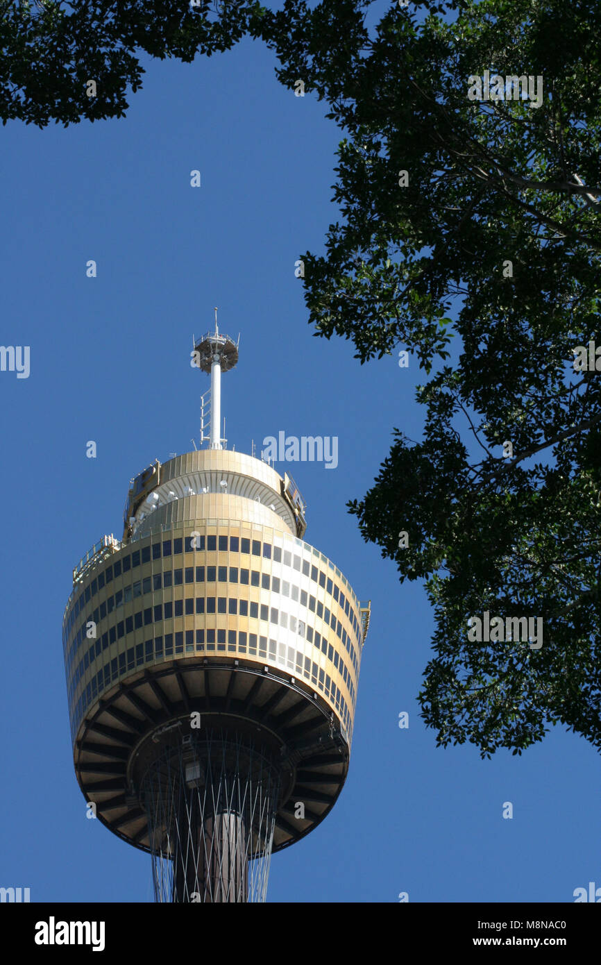 VIEW TO THE TOP OF CENTREPOINT TOWER (SYDNEY TOWER) IN THE HEART OF ...
