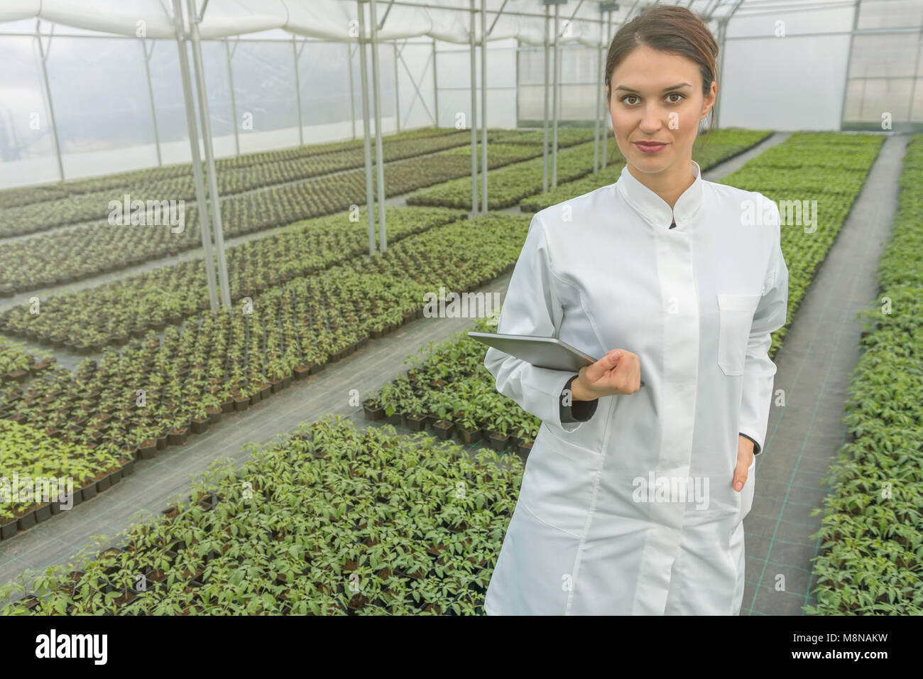 Agricultural engineer hi-res stock photography and images - Alamy