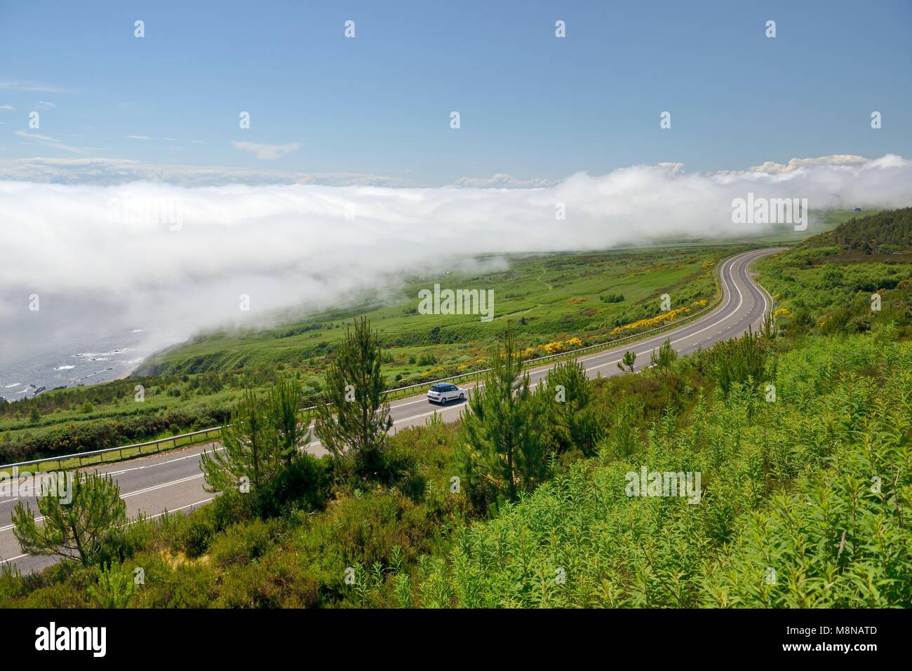 Haar sea fret cold fog static cloud on A9 road 2 miles N. of Helmsdale ...