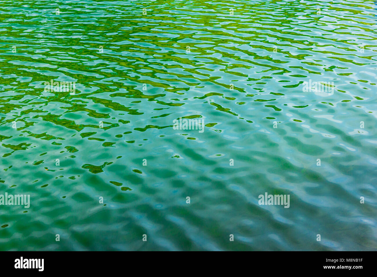 green ripples on the surface of water in lake Stock Photo - Alamy