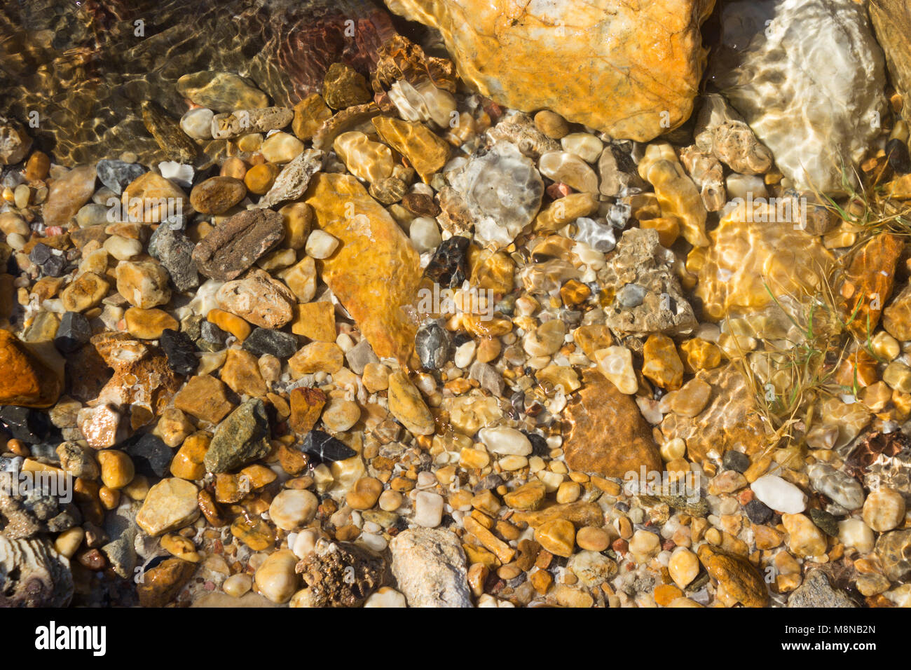 colorful pebbles under water sea for the background Stock Photo - Alamy