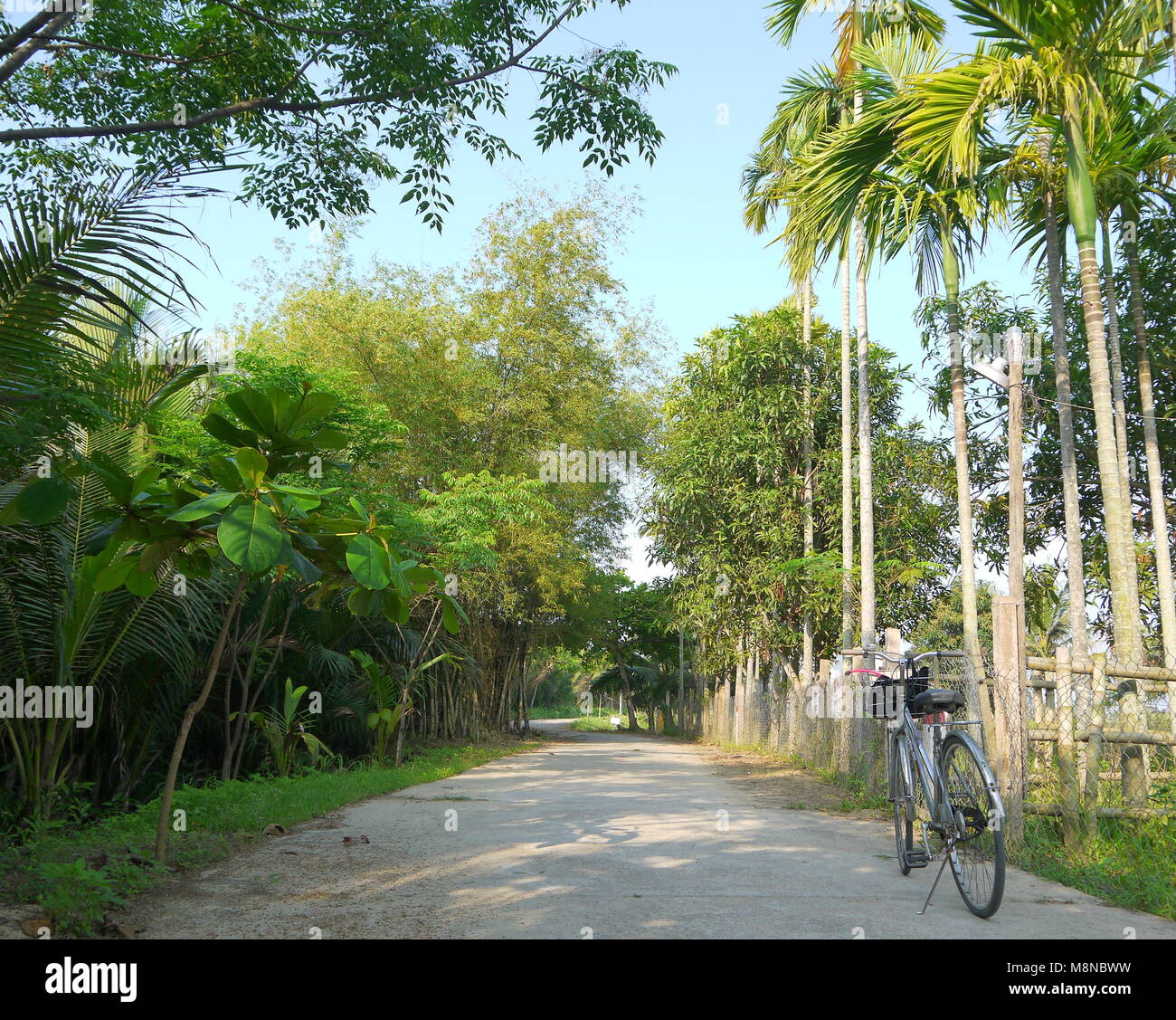 Bamboo road hi-res stock photography and images - Alamy