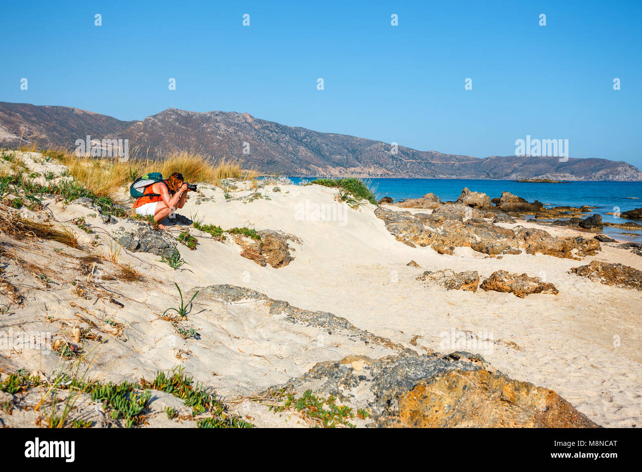 Elafonissi beach with pink sand on Crete Island, Greece Stock Photo - Alamy