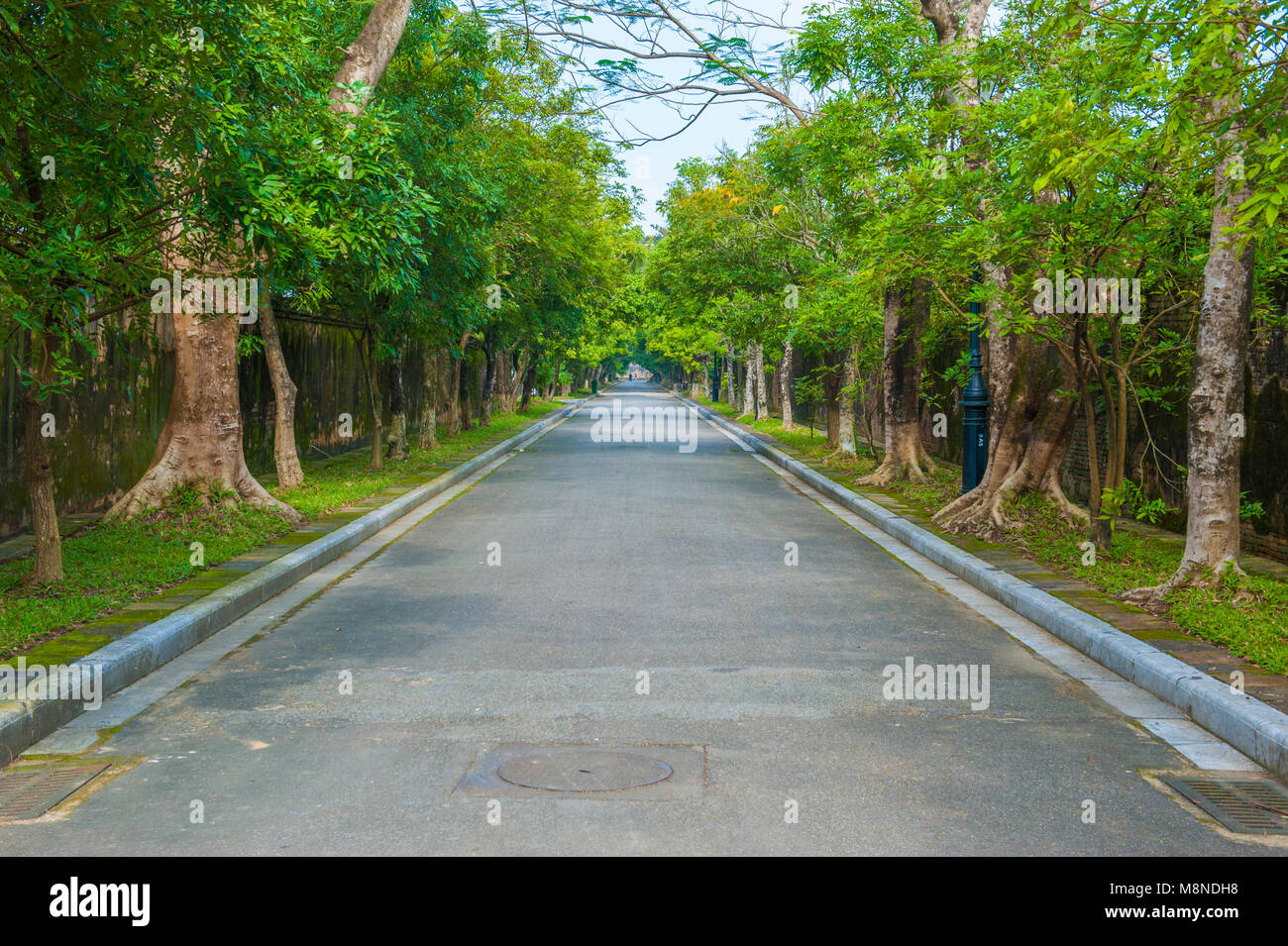 Imperial city of Hue. Wide angle shot of long road lined with leafy ...