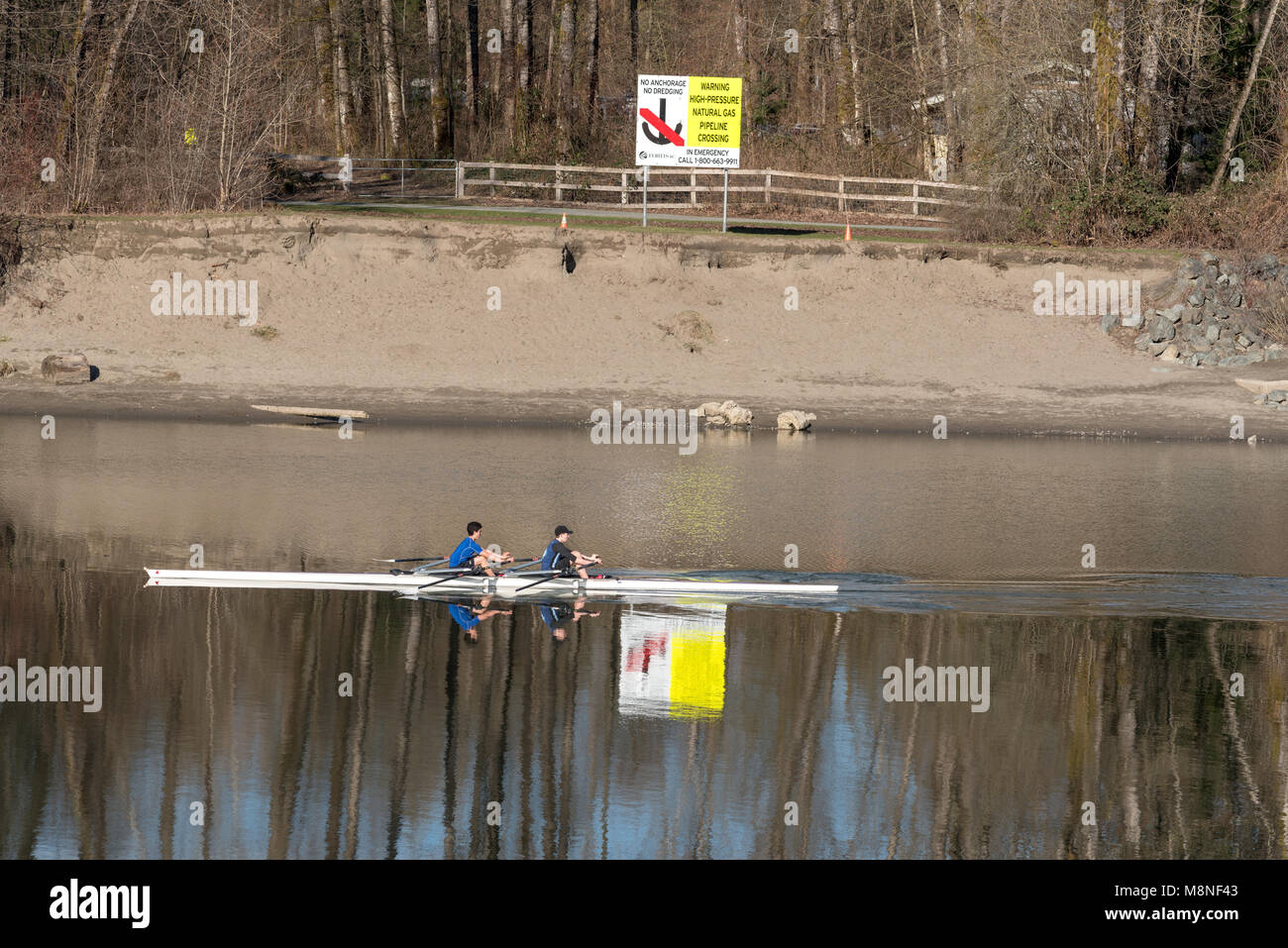 Rowing a racing shell on Bedford Channel of the lower Frasier River ...