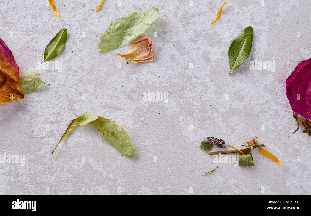 Set of assorted petals isolated on wooden background, close-up ...