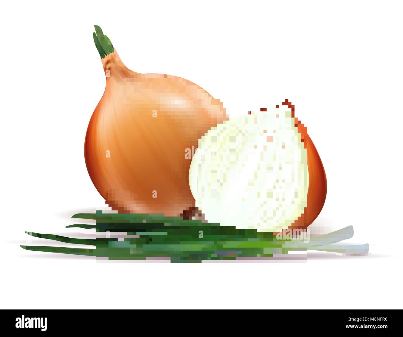 Vector fresh whole and sliced yellow onion bulbs with green onions ...