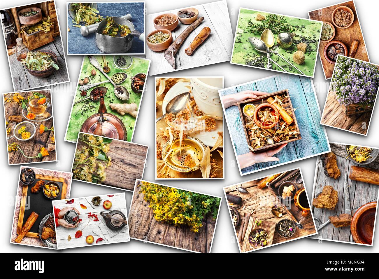 Collage with large set medicinal herb and plants.Herbal medicine ...
