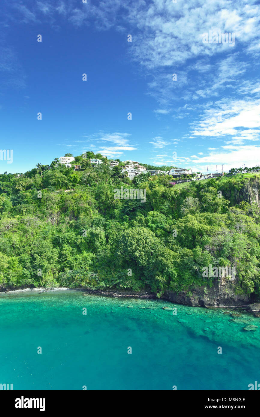 St vincent caribbean palm trees hi-res stock photography and images - Alamy