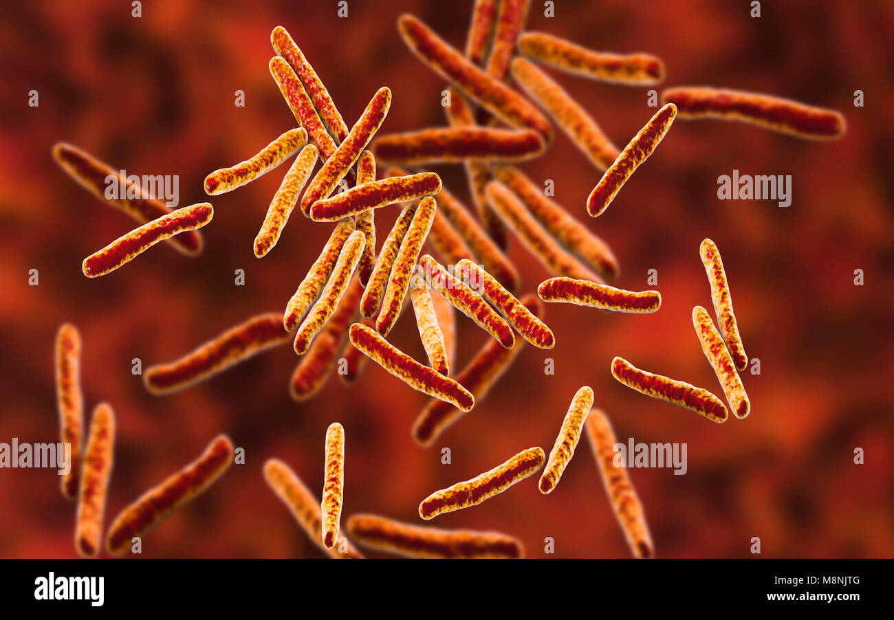 Tuberculosis bacteria. Computer illustration of Mycobacterium ...