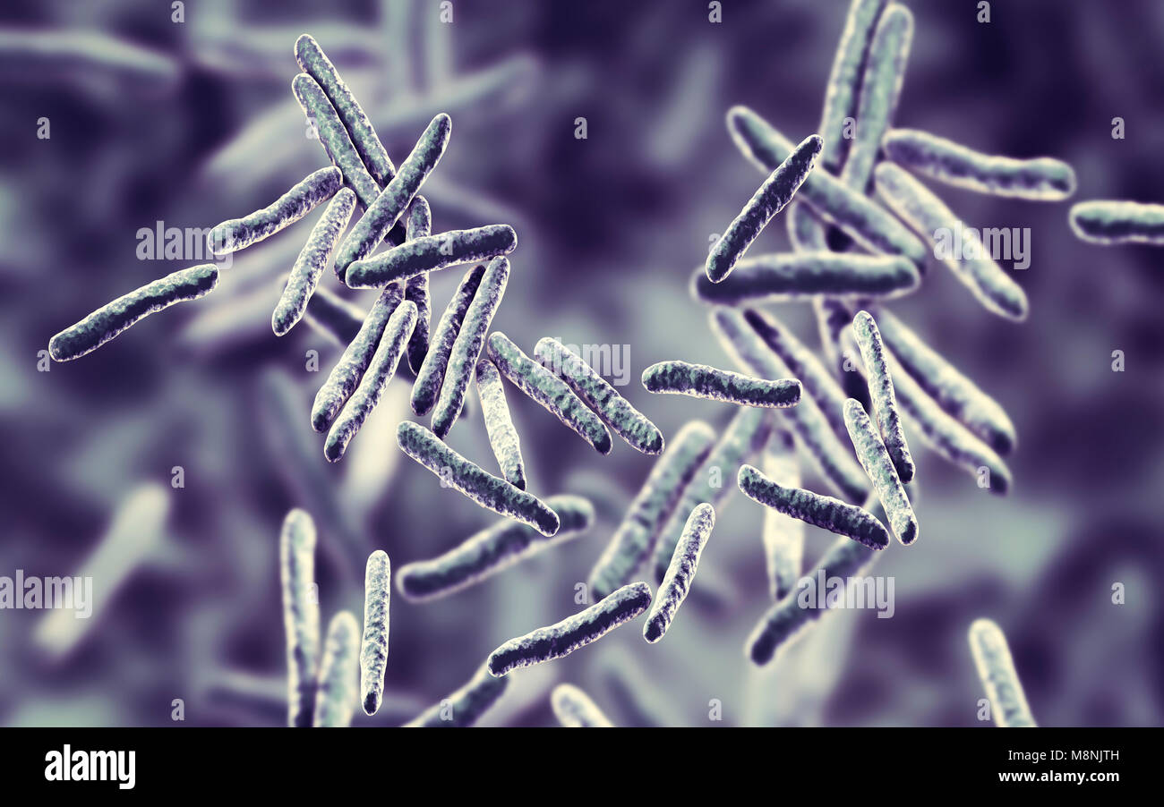 Tuberculosis bacteria. Computer illustration of Mycobacterium ...