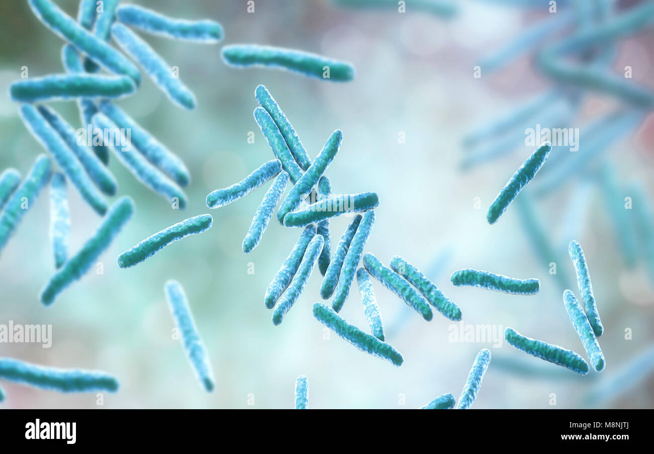 Tuberculosis bacteria. Computer illustration of Mycobacterium ...