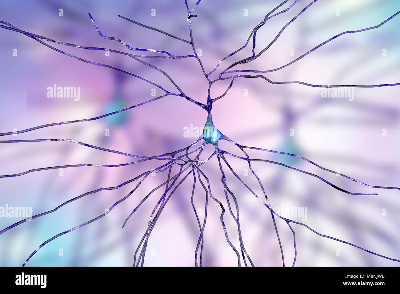 Nerve cells hi-res stock photography and images - Alamy