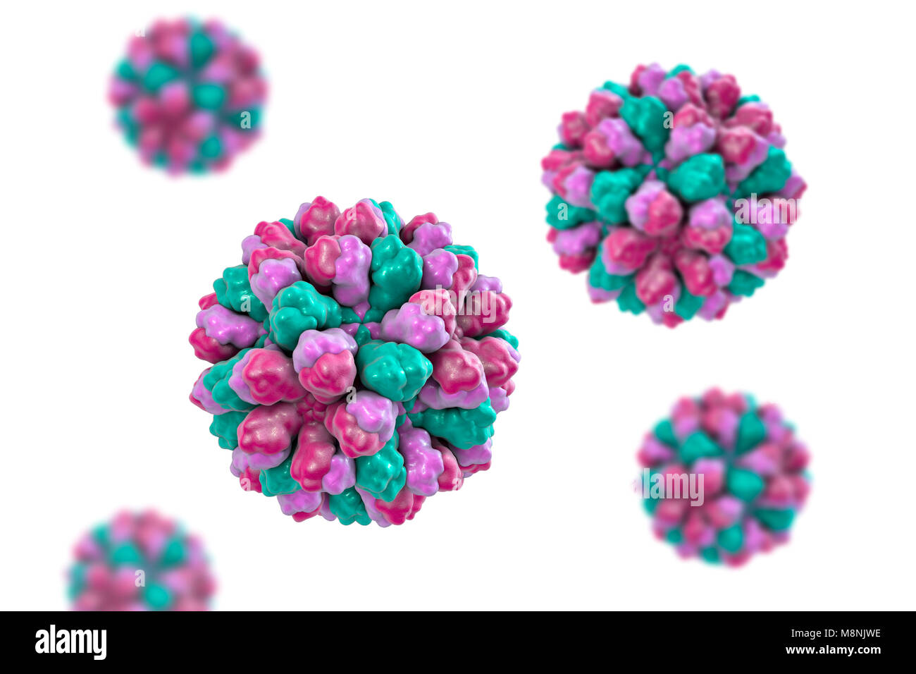 Norovirus, computer illustration. Norovirus is a genus of RNA ...