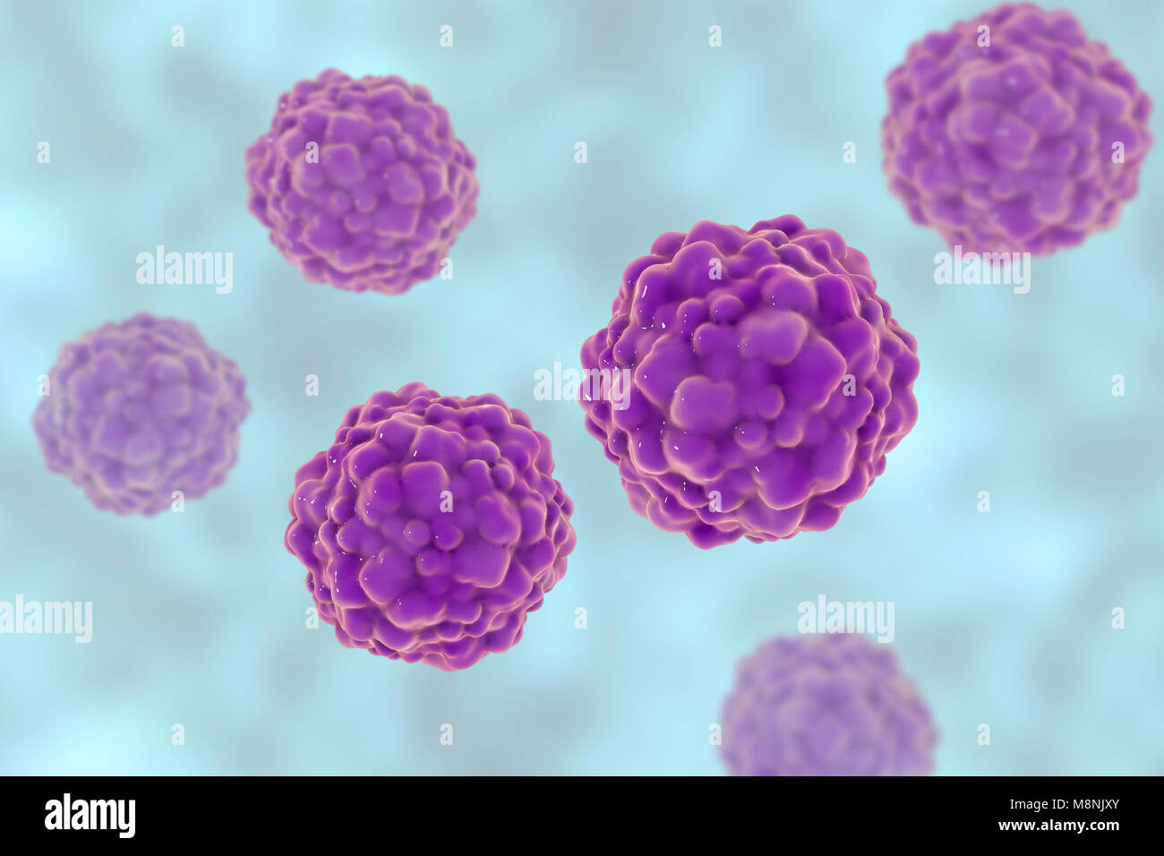 Transfusion transmitted virus (TTV) particles, computer illustration ...