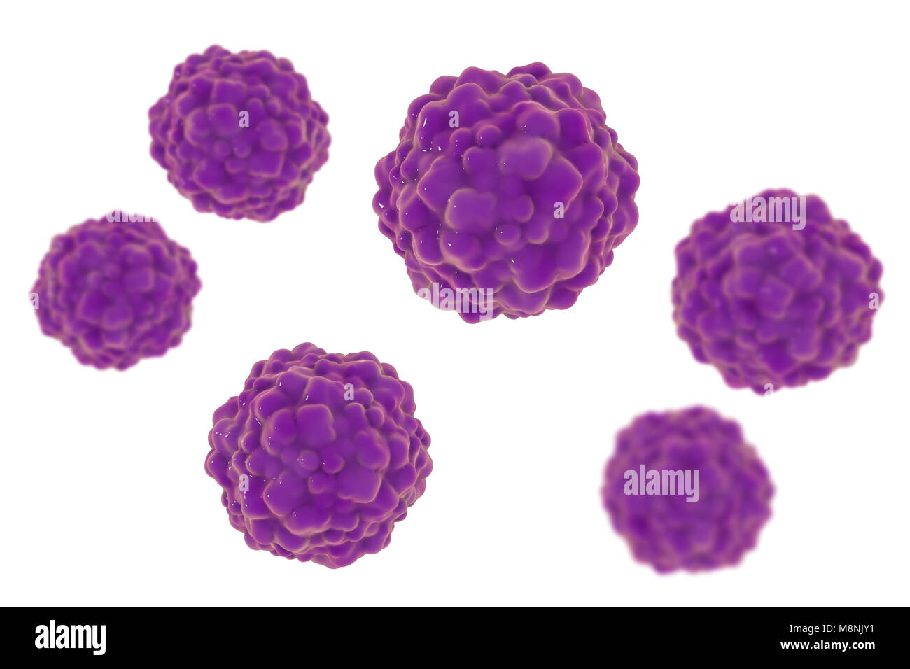 Transfusion transmitted virus (TTV) particles, computer illustration ...