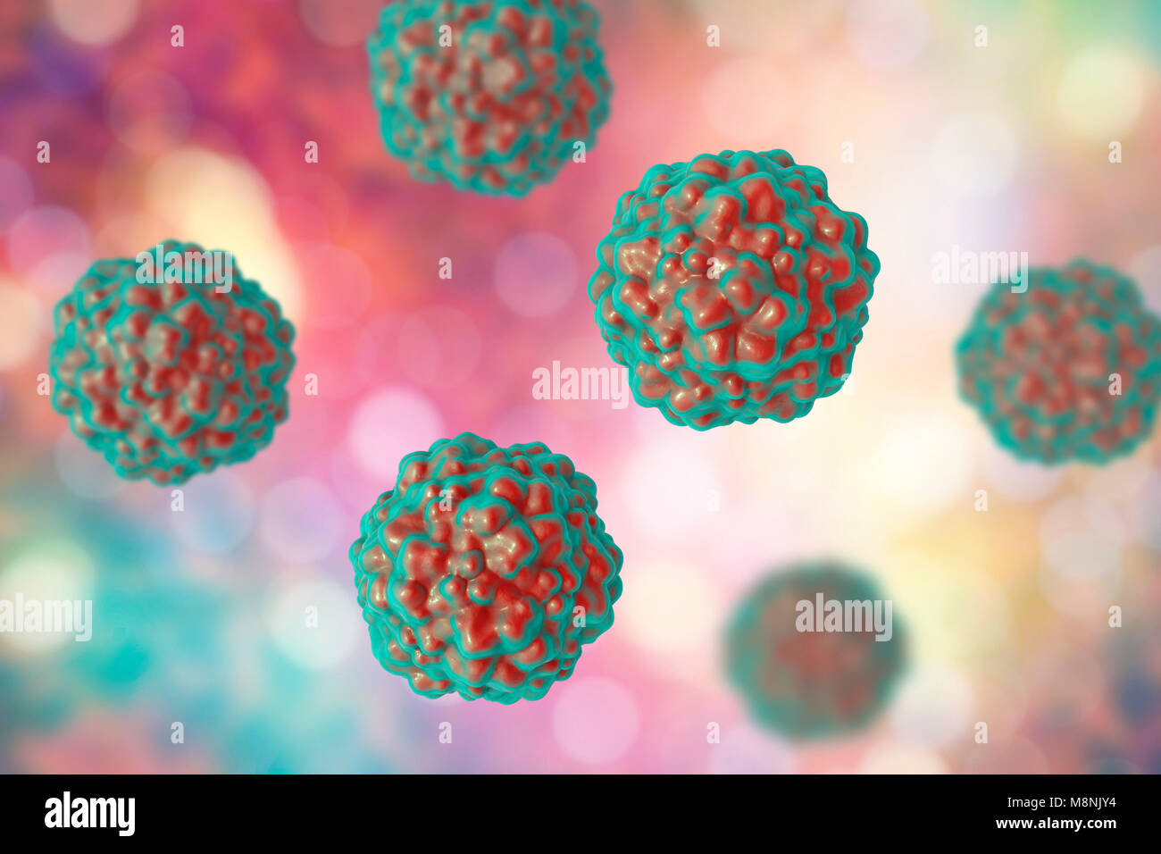 Transfusion transmitted virus (TTV) particles, computer illustration ...