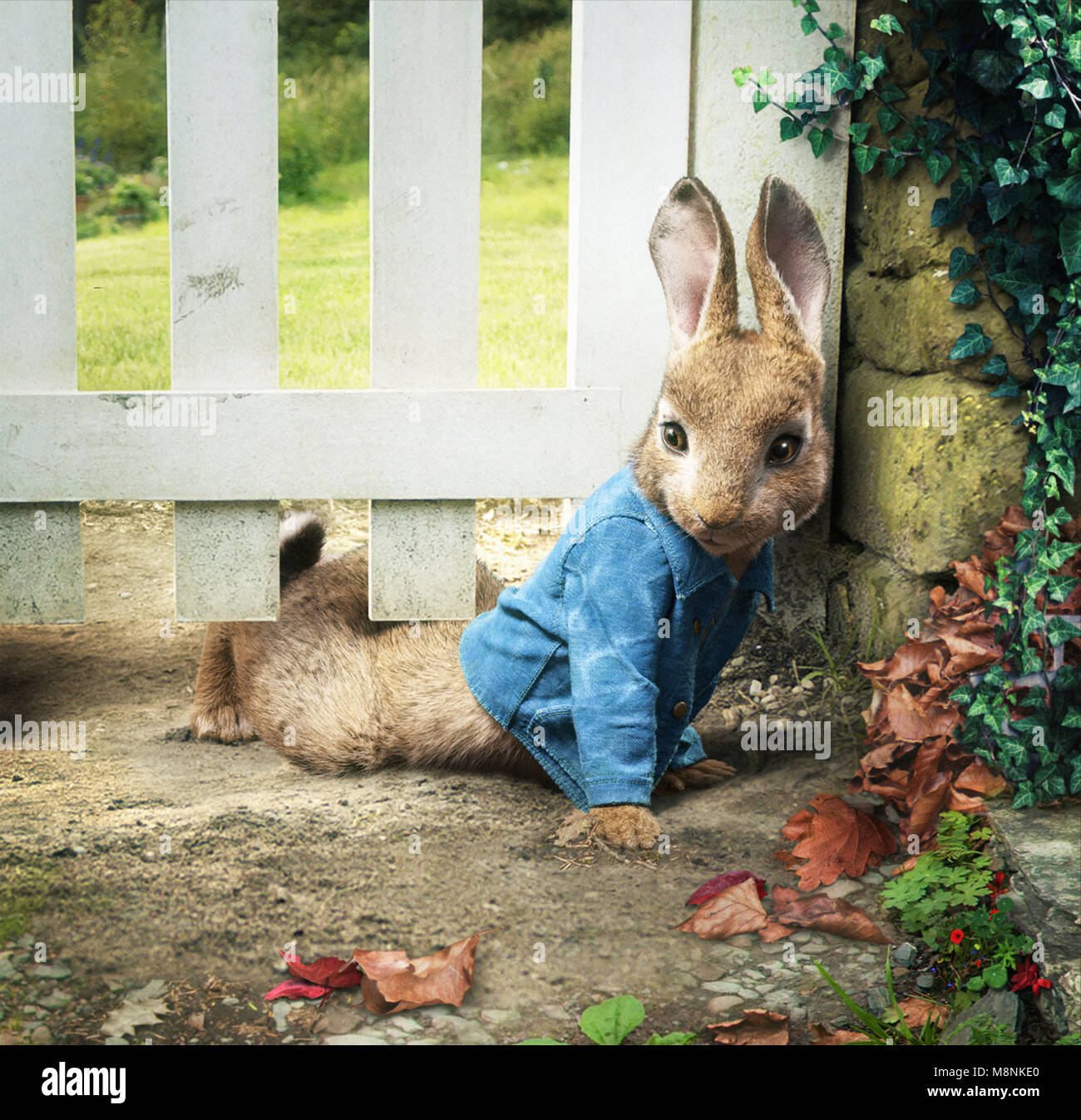 PETER RABBIT (2018) WILL GLUCK (DIR) COLUMBIA PICTURES/MOVIESTORE ...