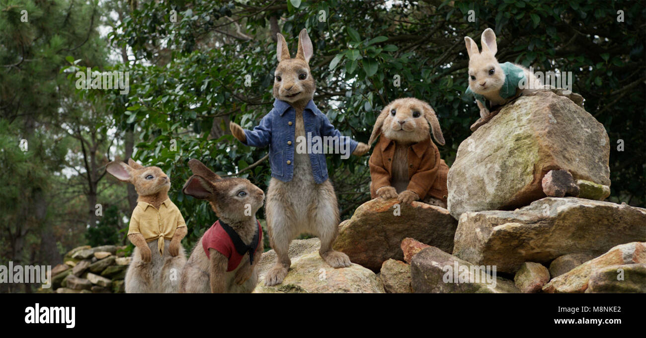 Peter rabbit 2018 hi-res stock photography and images - Alamy