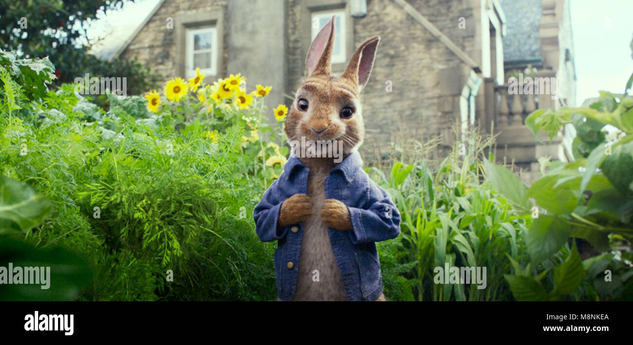 PETER RABBIT (2018) WILL GLUCK (DIR) COLUMBIA PICTURES/MOVIESTORE ...