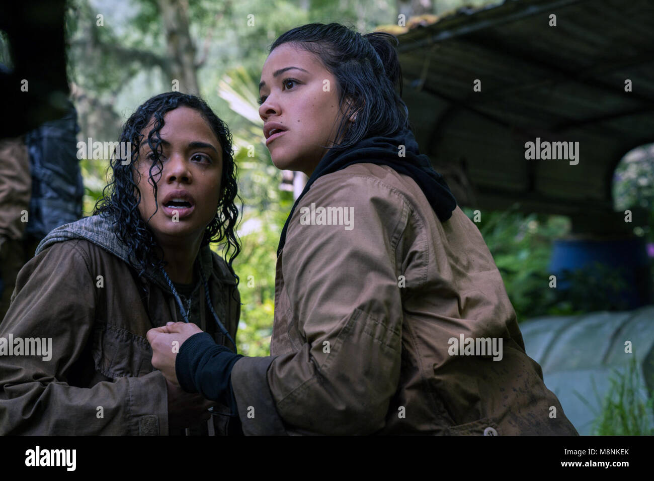 Annihilation alex garland hi-res stock photography and images - Alamy