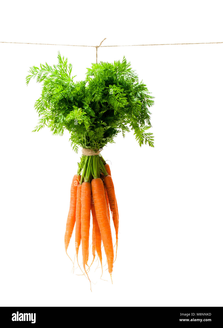 Hanging bunch of new carrots isolated on white Stock Photo - Alamy