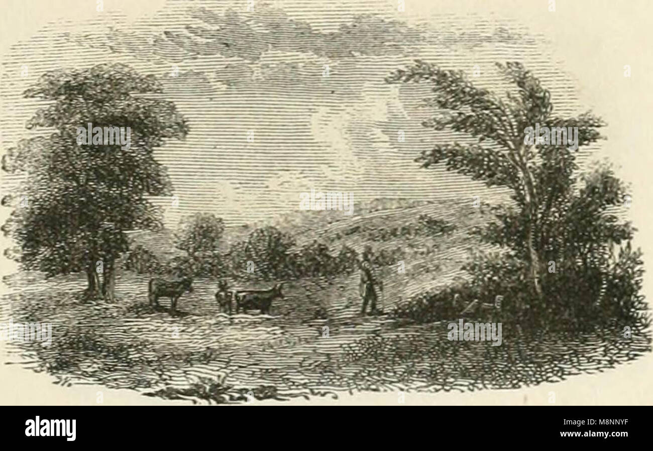 "The first [-fifth] reader of the school and family series" (1860 Stock ...