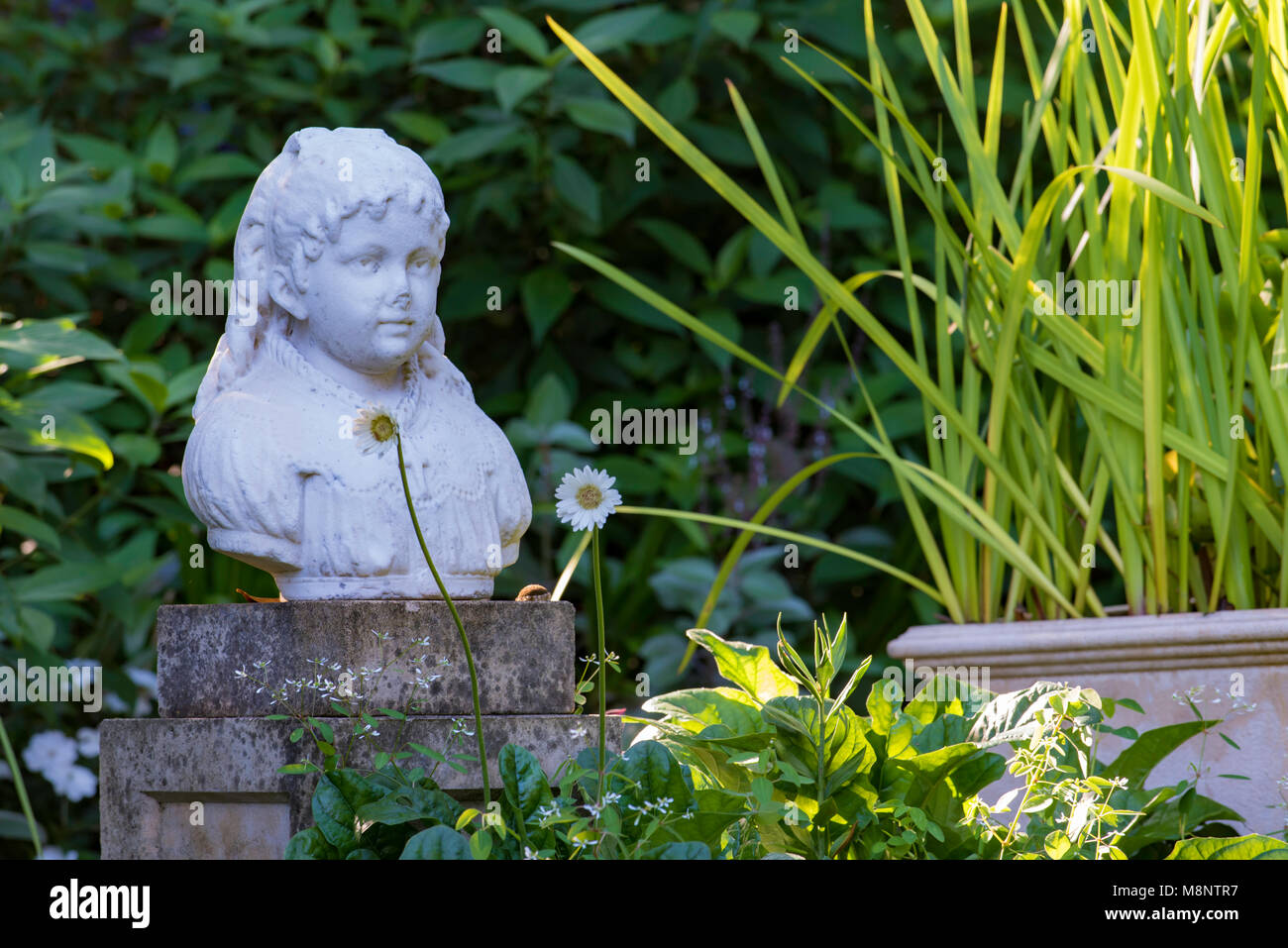 Water Irises in large pots and a marble statue from Carrara in Italy ...