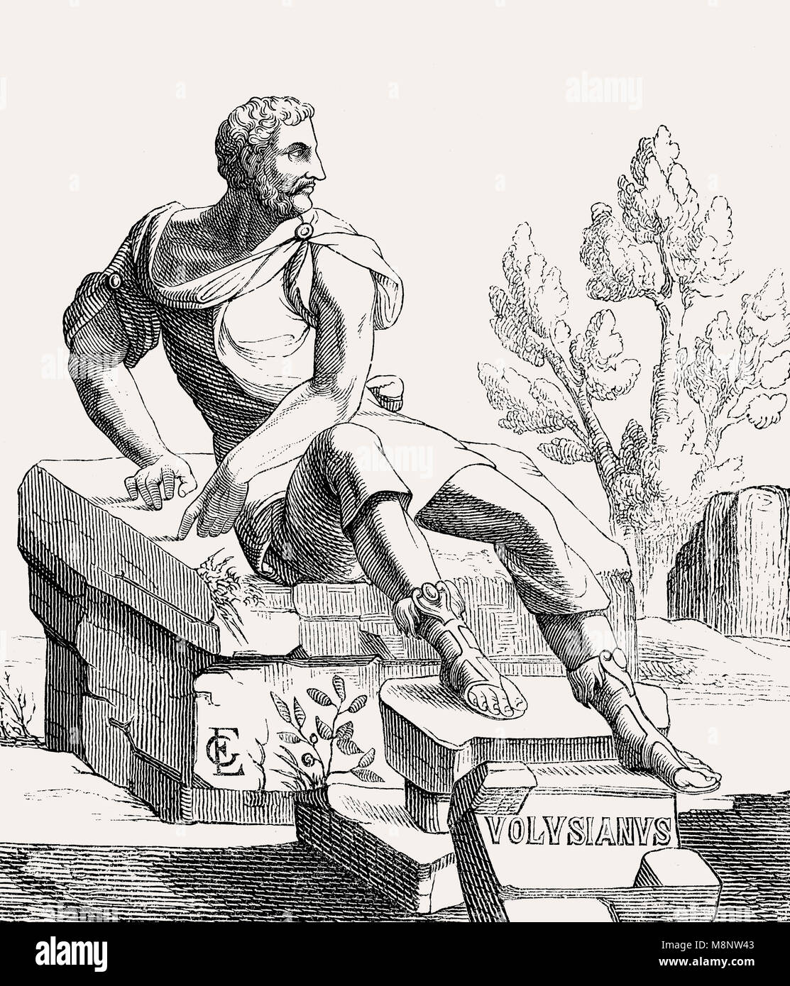 Vibius hi-res stock photography and images - Alamy