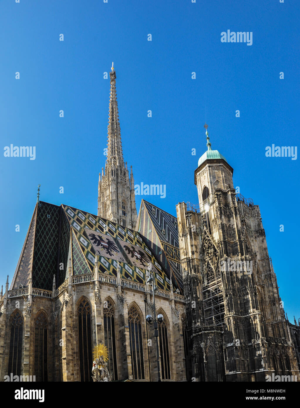 View of Stephansdom (St Stephen's Cathedral Stock Photo - Alamy