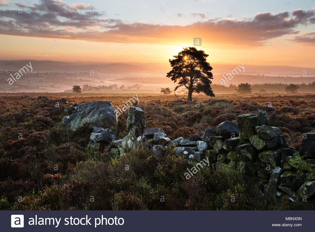 Misty Moors Stock Photos & Misty Moors Stock Images - Alamy