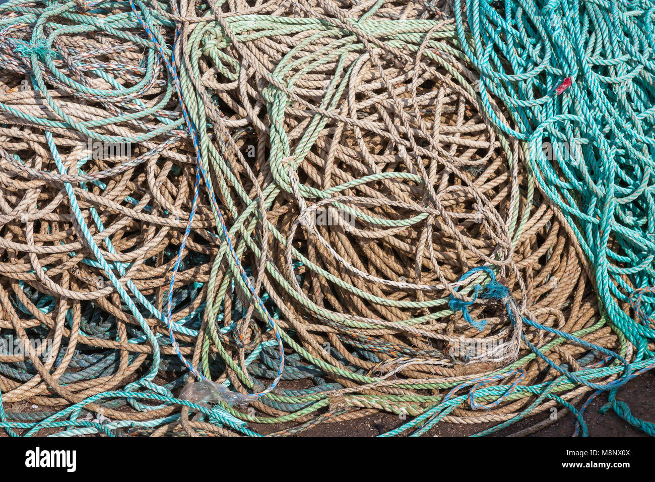 A tangle of fishing ropes of different types and colours, on the ...