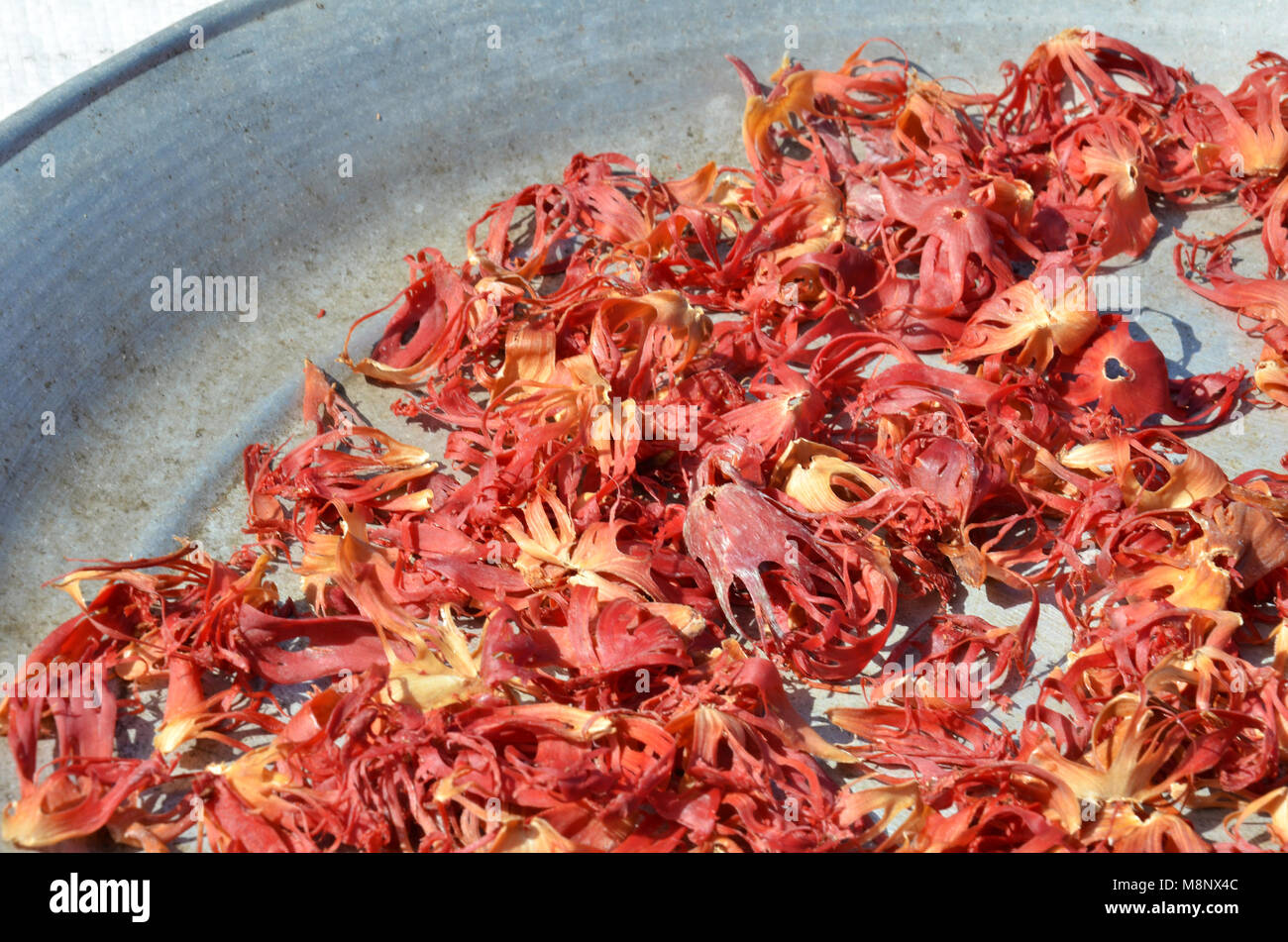 Mace of Nutmeg dry by the sun Stock Photo - Alamy