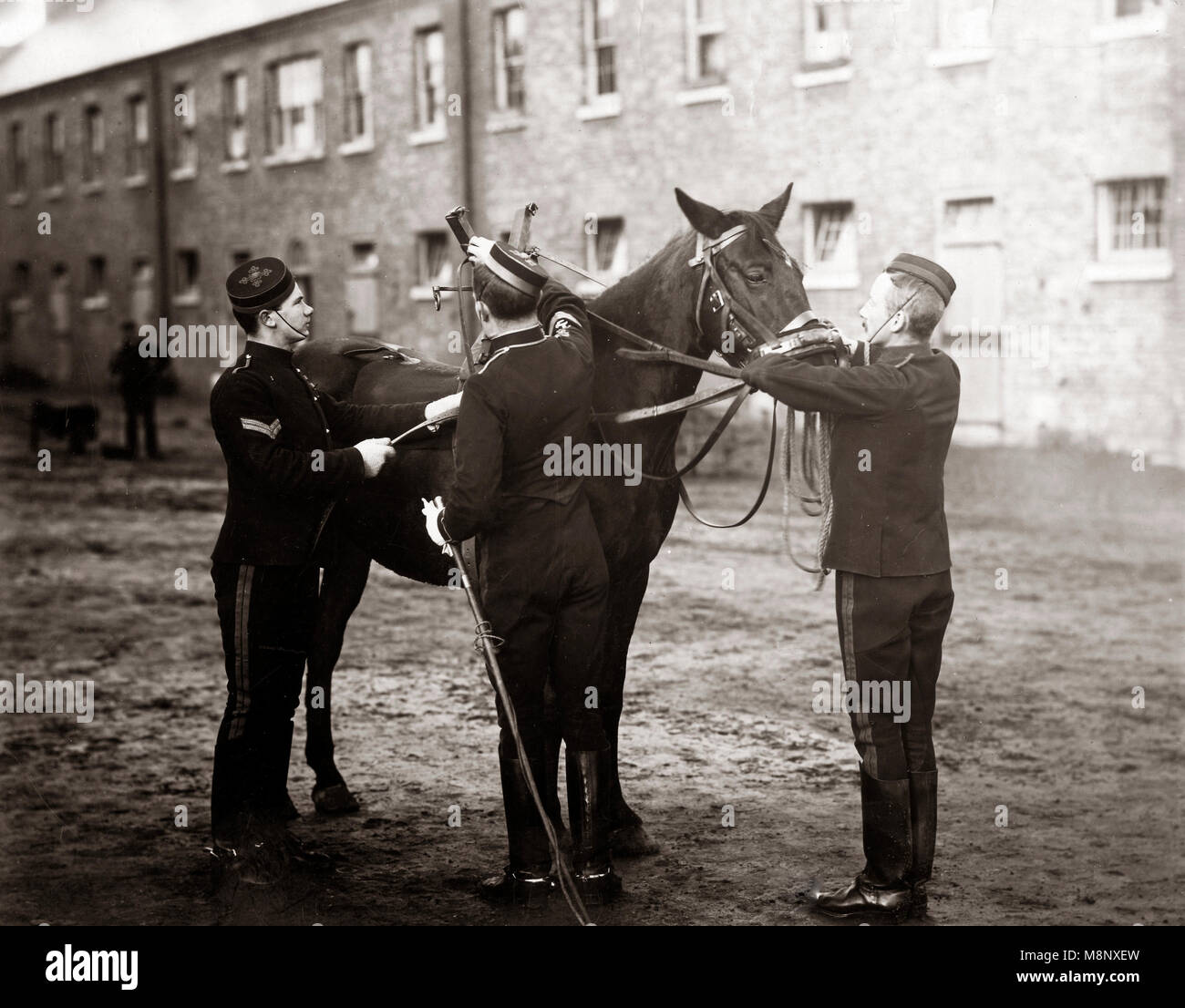 3rd hussars hi-res stock photography and images - Alamy